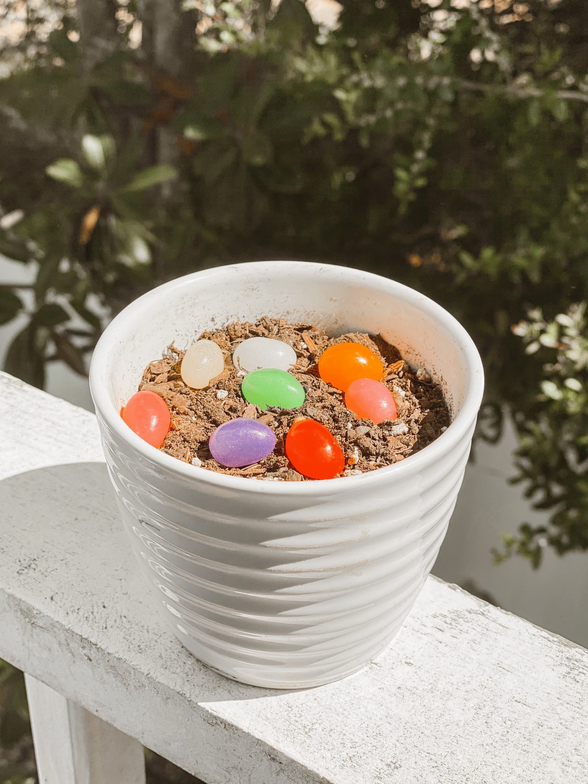 Easter Tradition: Magic Jelly Beans - Salt Sister Moms